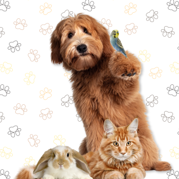 Blessing of the Animals | Saint Agnes Parish | West Chester, PA